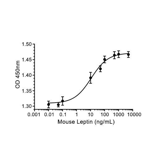 Leptin 蛋白 Mouse His Mce